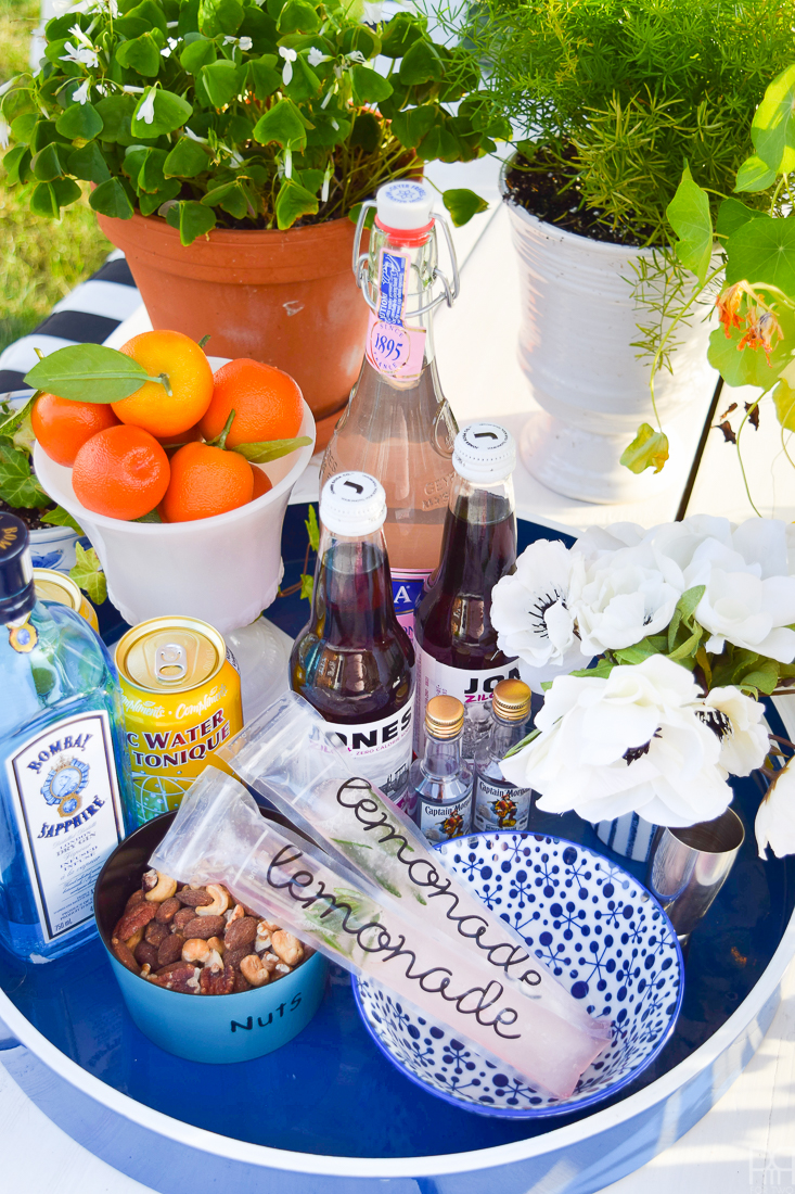 Boozy Popsicles