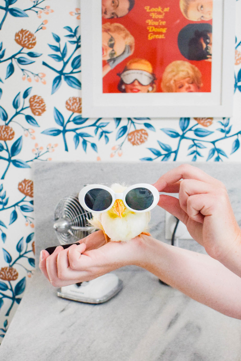 PMQ for two • Page 7 of 208 • Bold, Bright and Colourful Home Decor & DIYs
